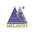 Megasoft CEO and Key Executive Team | Craft.co