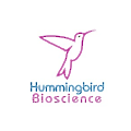 Hummingbird Bioscience Company Profile - Office Locations, Competitors ...