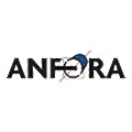 Anfora CEO and Key Executive Team | Craft.co