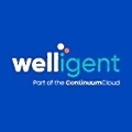 Welligent CEO and Key Executive Team | Craft.co
